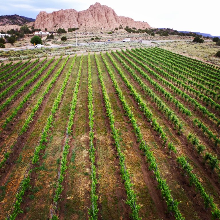 Vivac Winery - About Us
