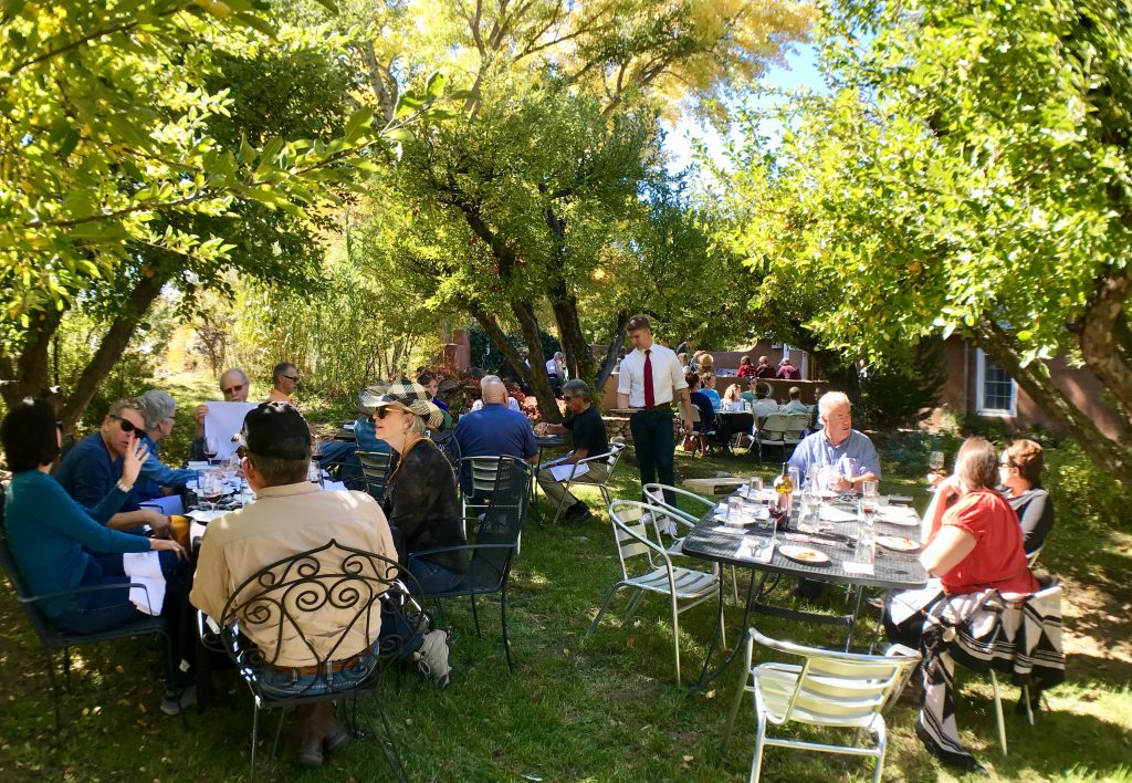 Vivac Winery - Picking Parties